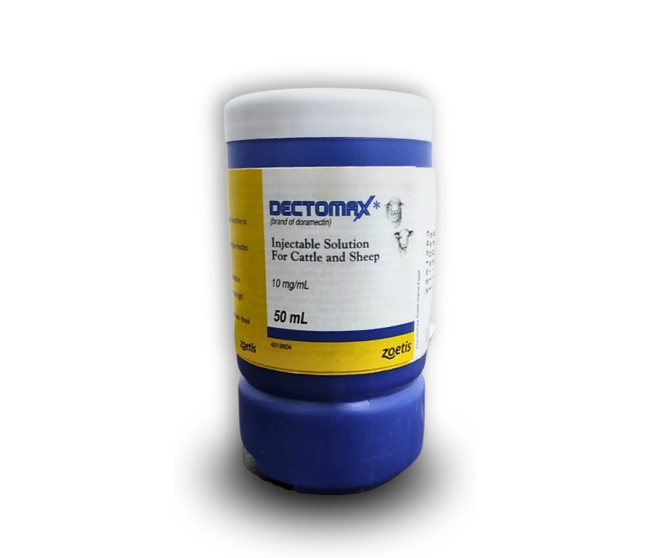 Dectomax Injectable Solution For Cattle and Sheep 50ml | Animal Health Egypt